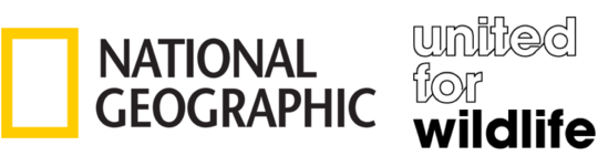 Ocean Challenges and Solutions | National Geographic Society